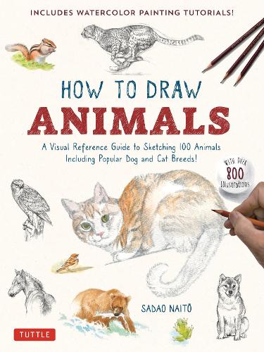 How to Draw Animals: A Visual Reference Guide to Sketching 100 Animals ...