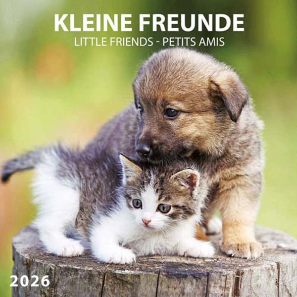 Little Friends Wall Calendar 2026 | Bookazine HK