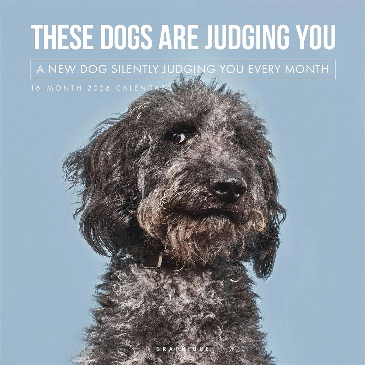 Judgmental Dogs Wall Calendar 2026 | Bookazine HK