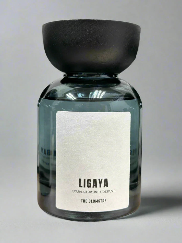 Ligaya Natural Sugarcane Diffuser | Bookazine HK