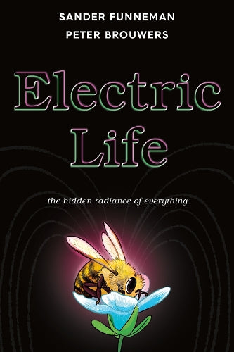 Electric Life: The Hidden Radiance of Everything – Bookazine