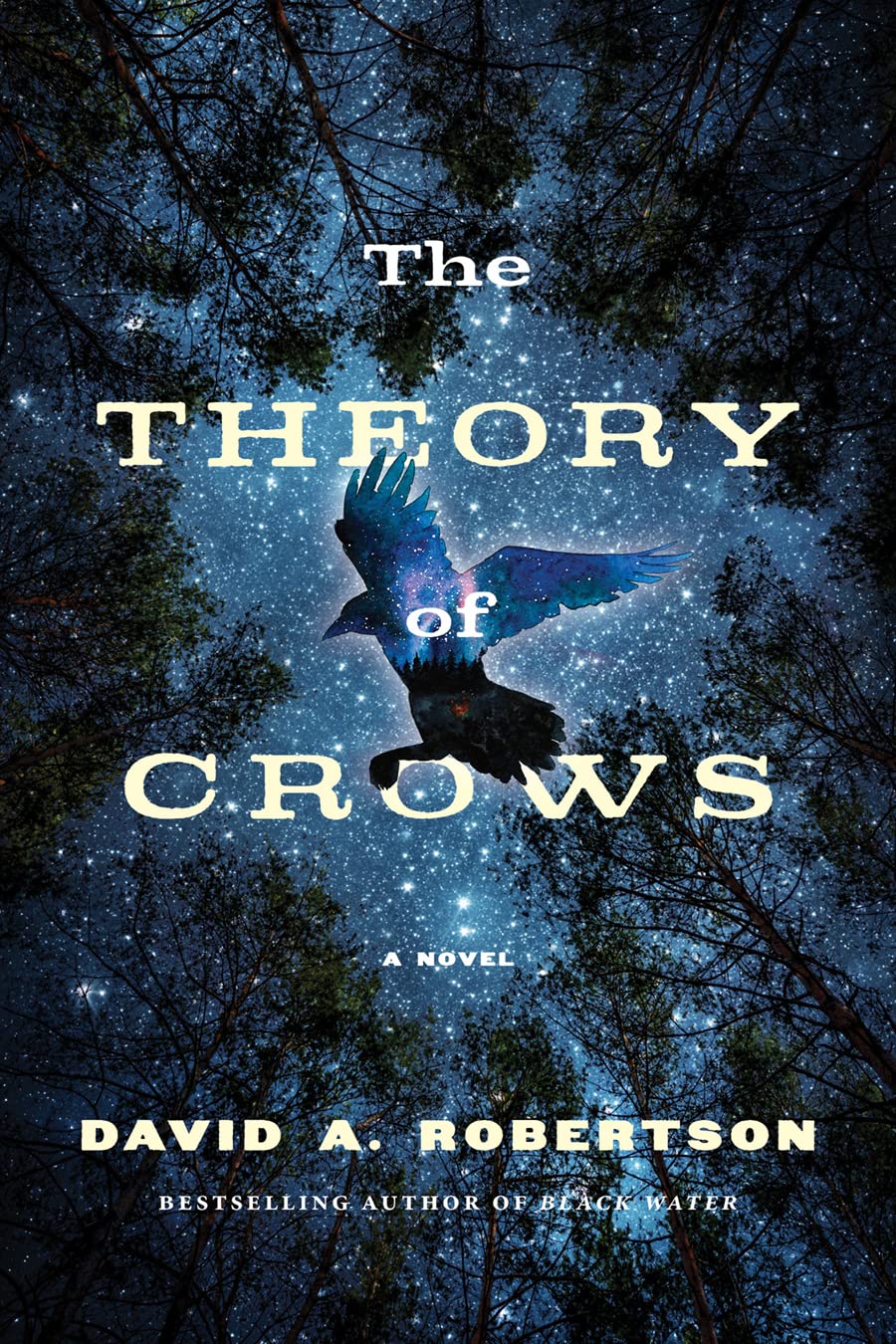 The Theory Of Crows | Bookazine HK
